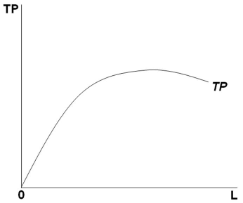 Refer To The Above Graph, Where TP = Total Product... | Chegg.com