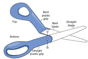 Solved: Using The Diagram Below, Do The Following: Prepare... | Chegg.com